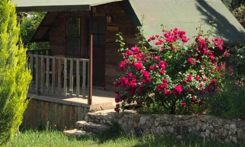 Olympos Authentic Pension (Olympos , Antalya) - Olimpos.com