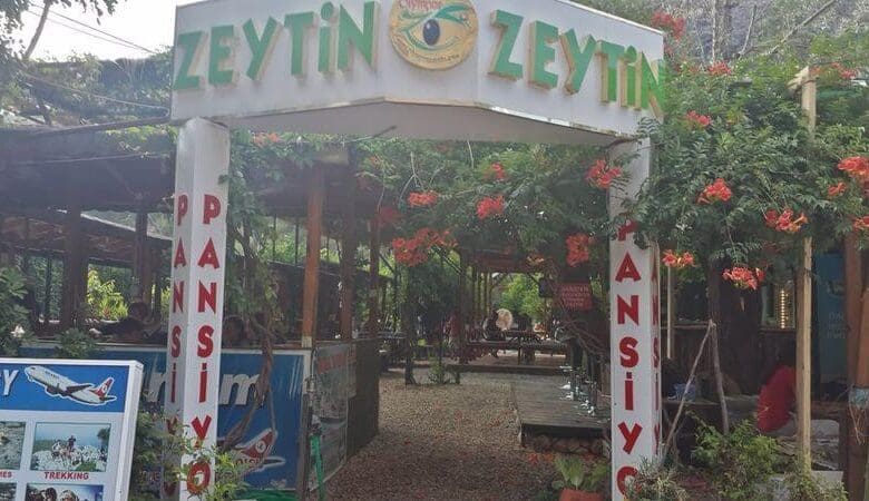 Olympos Zeytin Pension (Olympos , Antaşya) - Olimposlu.com